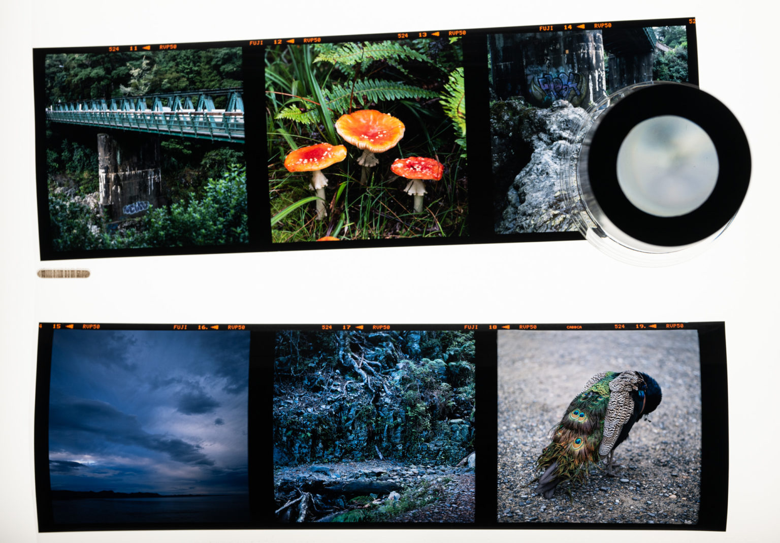 Film Processing & Scanning – The Black and White Box